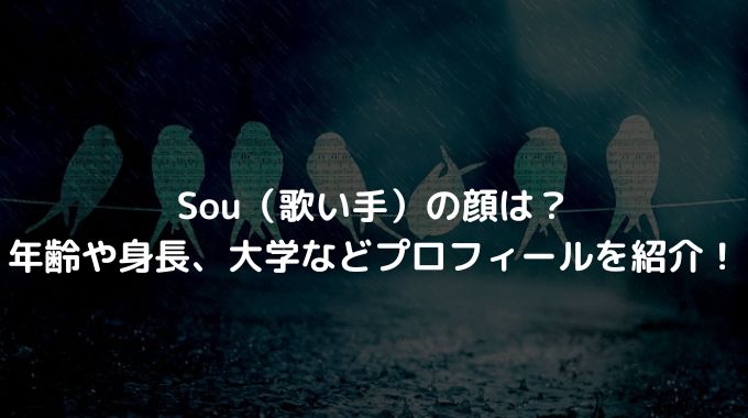 Sou（歌い手）の顔は？年齢や身長、大学などプロフィールを紹介！ - 進撃のナカヤマブログ